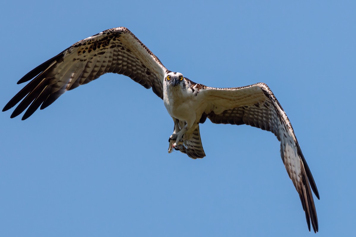 20221030-_G5A7051-Edit.jpg | Canon RFShooters Forums