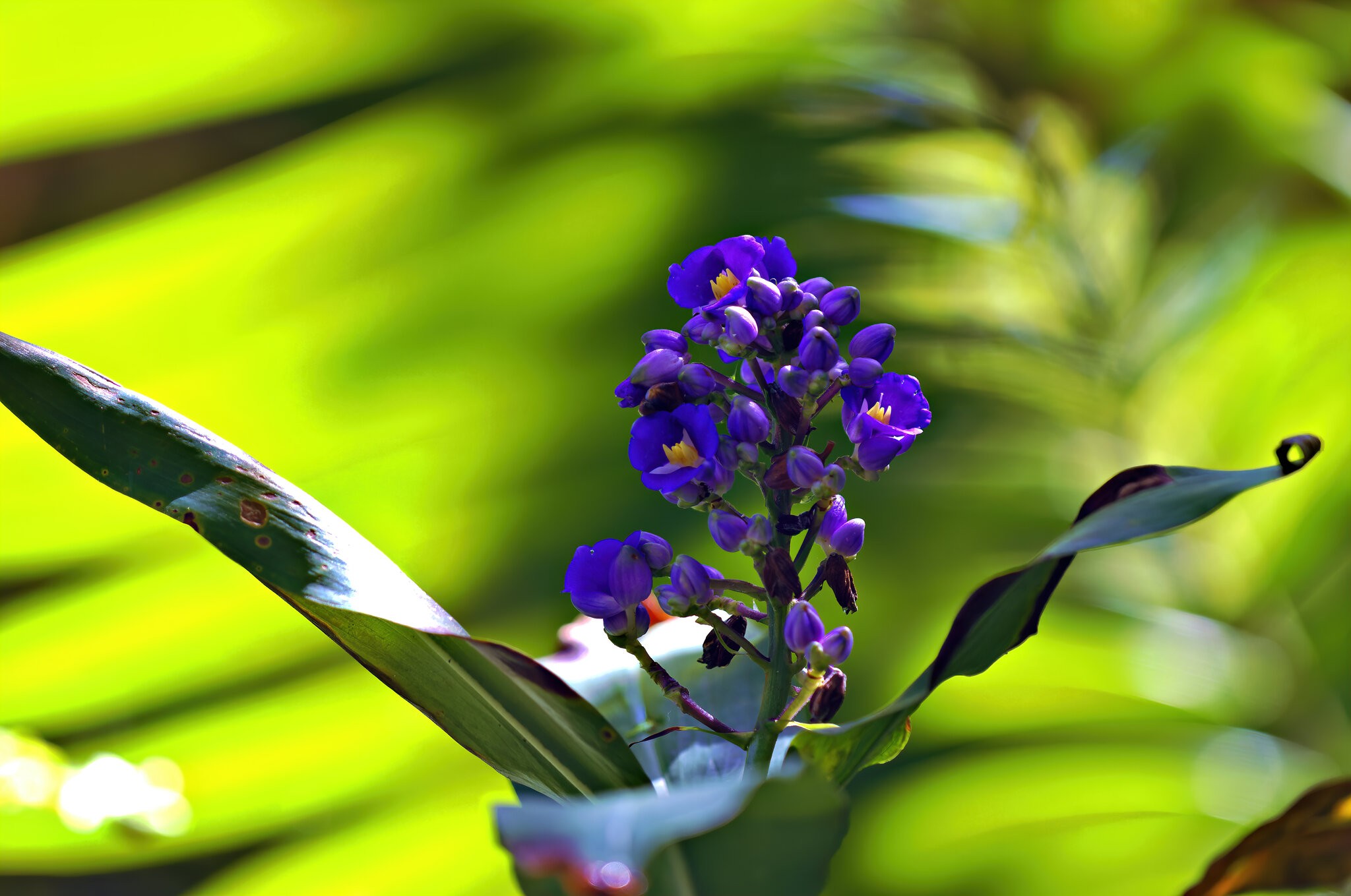 202308_CR7_1283-CR3 -1.jpg | Canon RF Shooters Forums