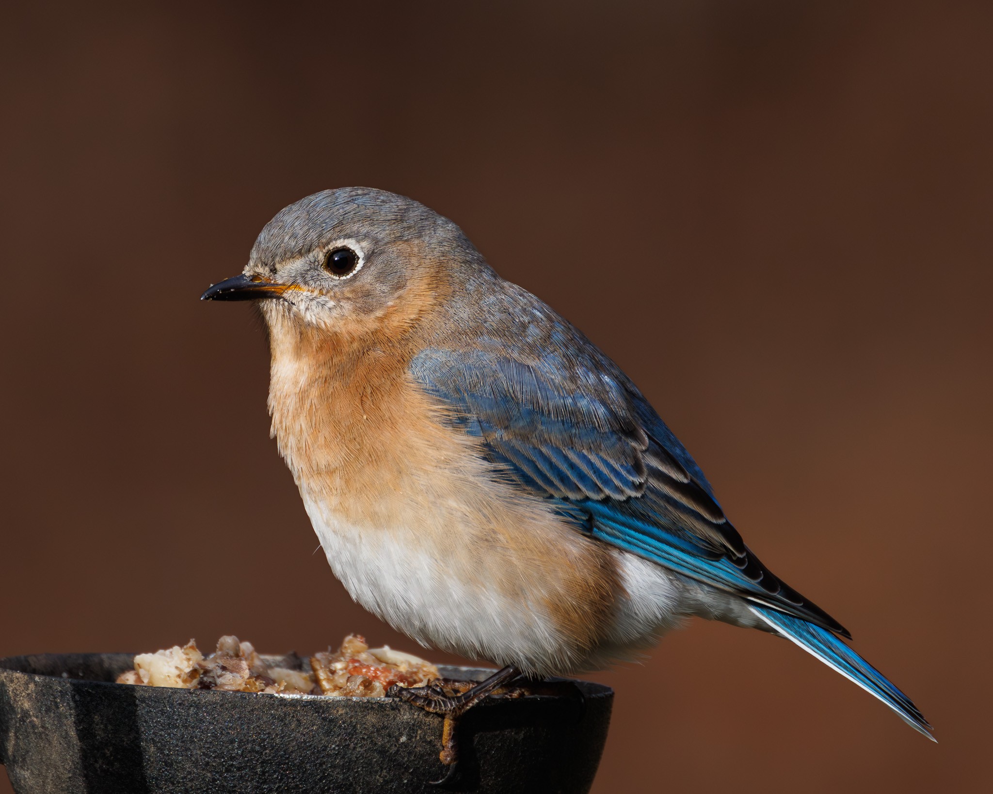 20231231_2525_NR.jpg | Canon RF Shooters Forums