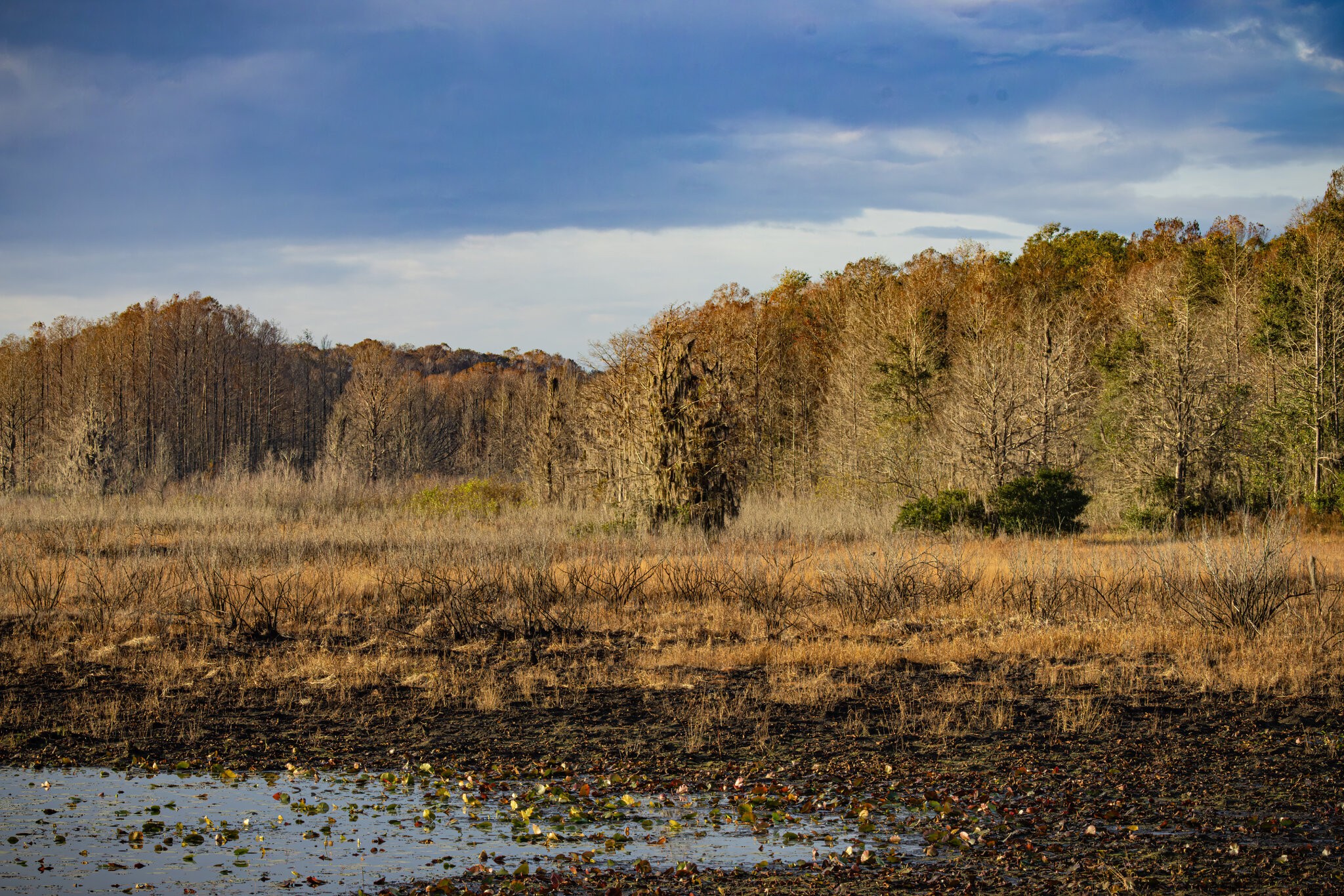 202312_CR7_7099-CR3-Edit.jpg | Canon RF Shooters Forums