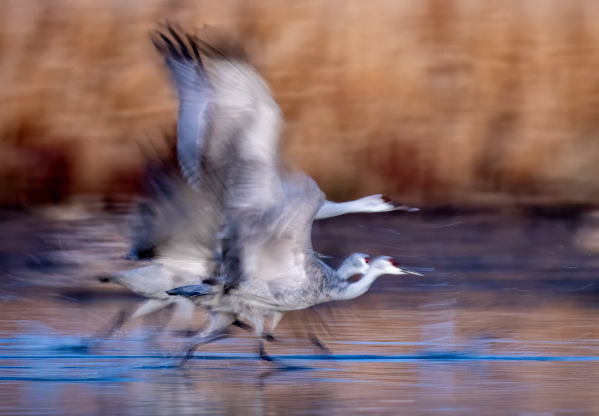 2024-073 703 New Mexico trip-Edit.jpg | Canon RF Shooters Forums