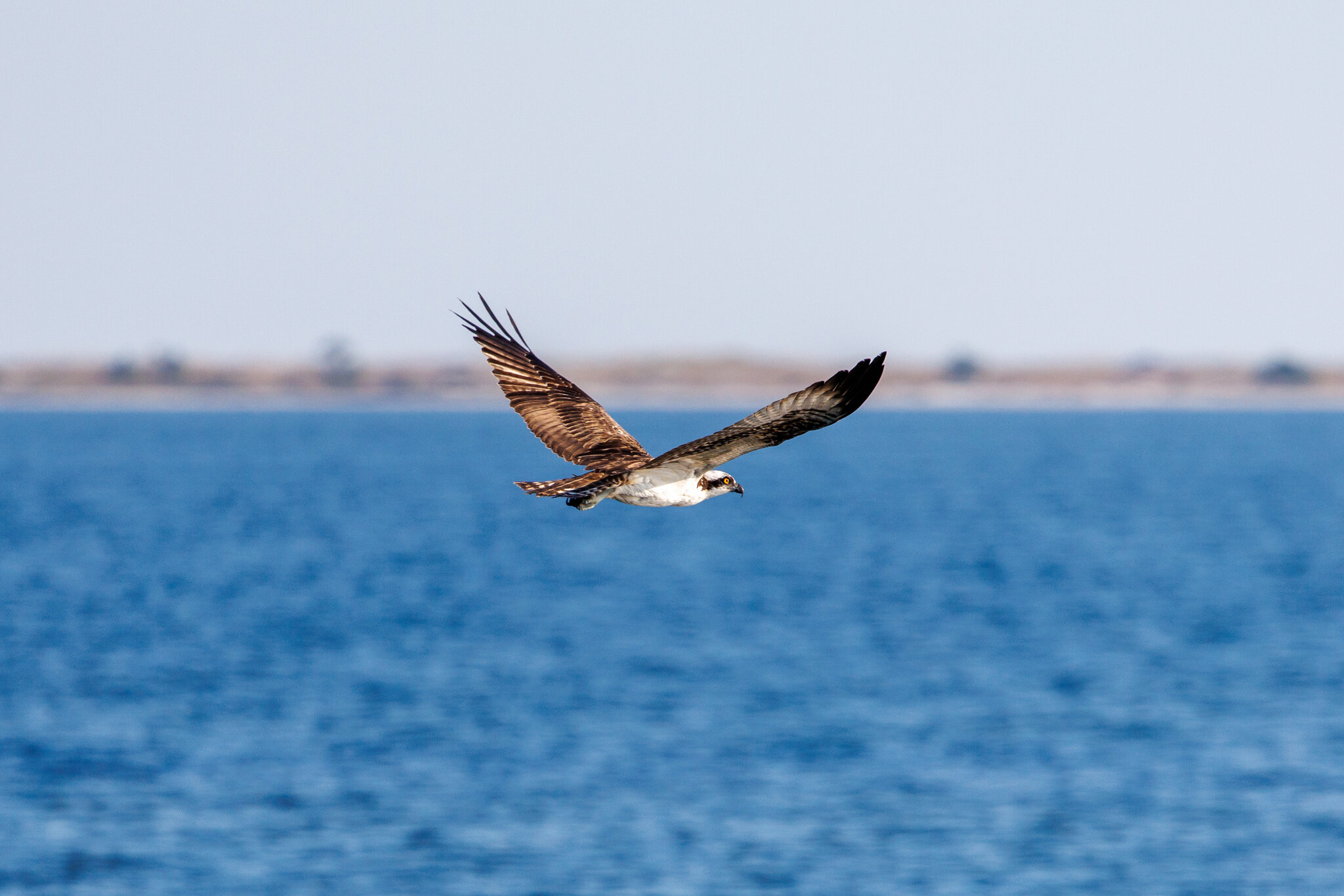 2024.10.25_IMG_025.jpg | Canon RF Shooters Forums