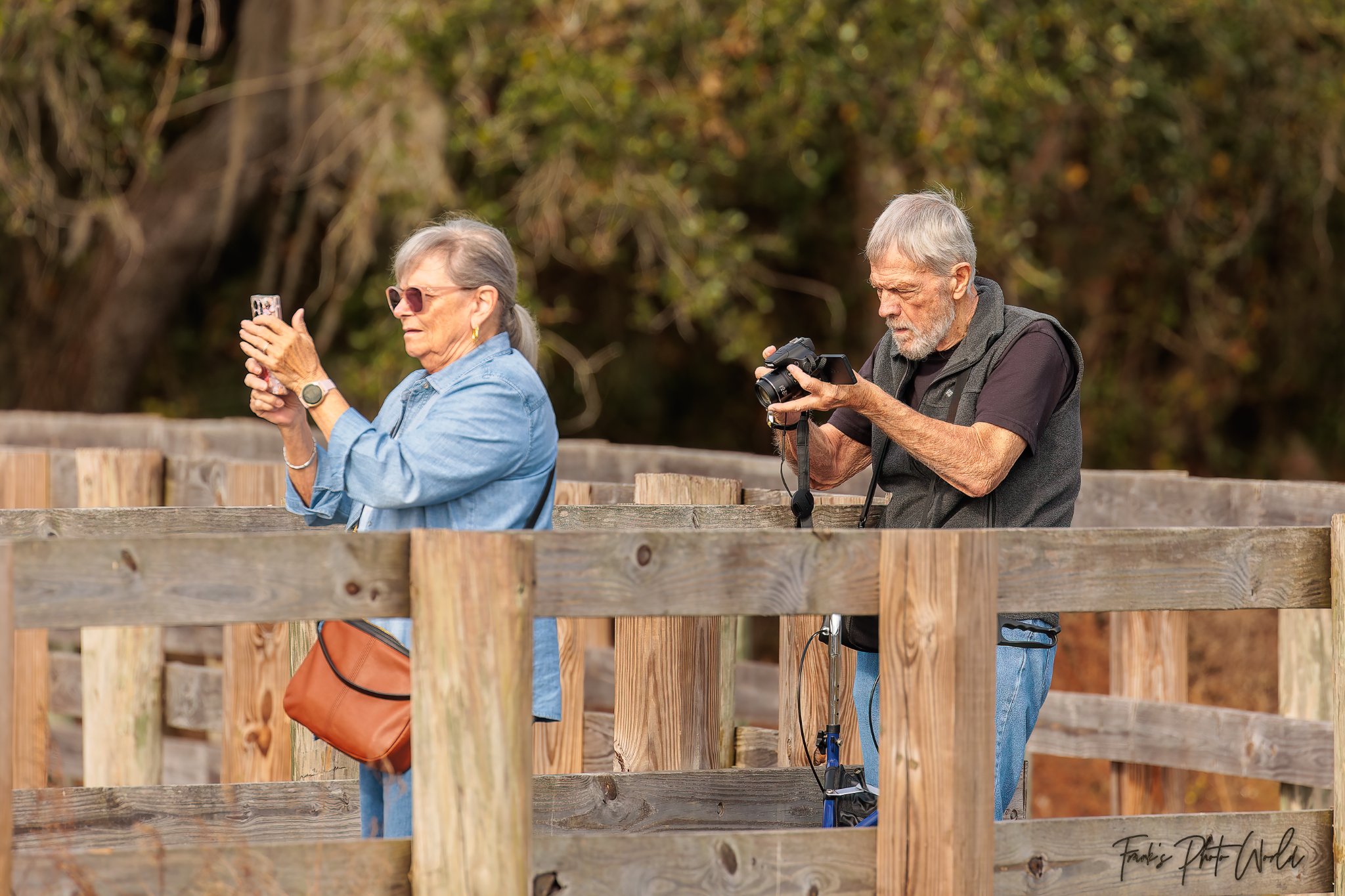 20241226-R6I-100802.jpg | Canon RF Shooters Forums