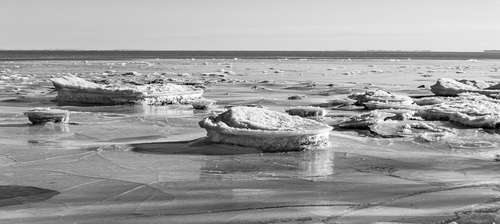 _M3A2909.jpg | Canon RF Shooters Forums