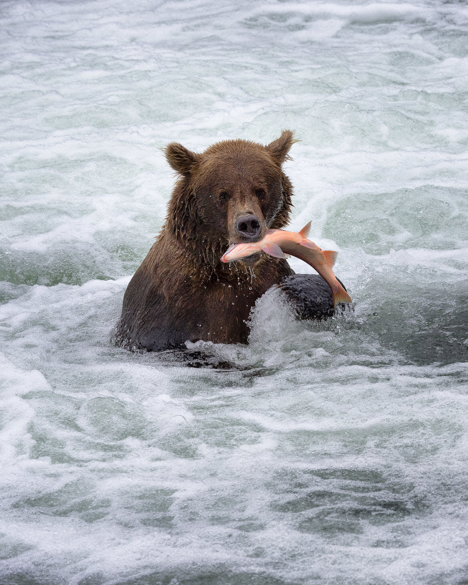 A very happy fellow.jpg | Canon RF Shooters Forums