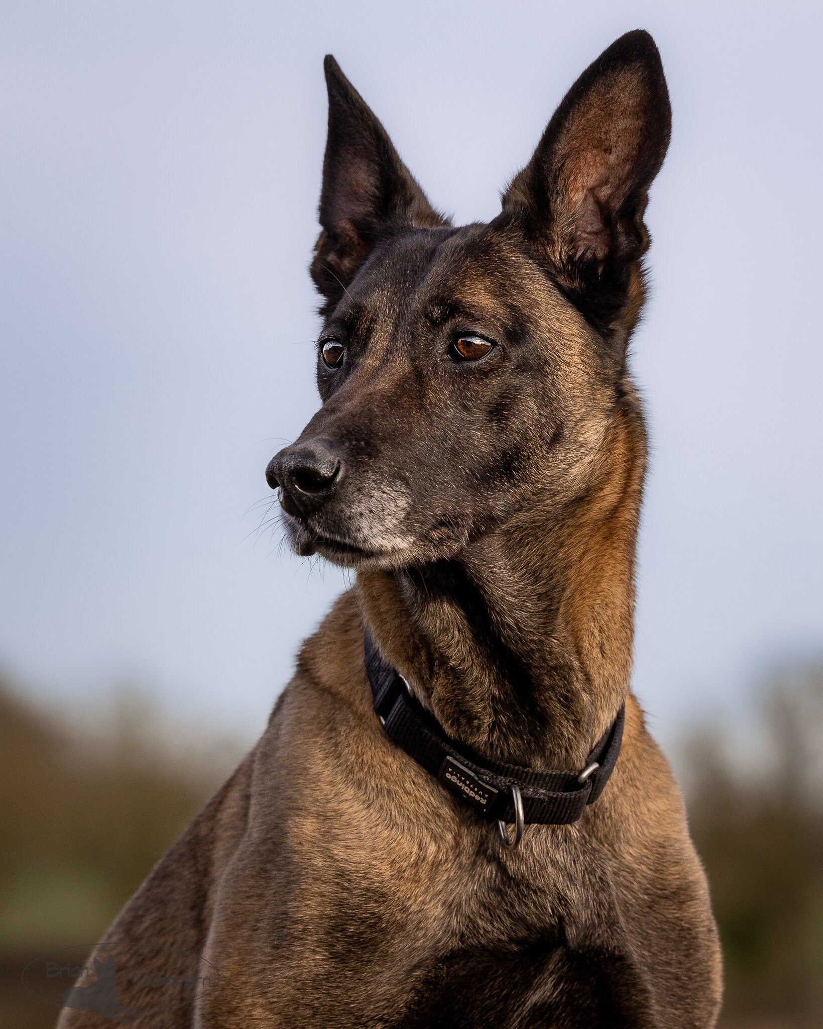 Ali Head carpark Rugby.jpg | Canon RFShooters Forums