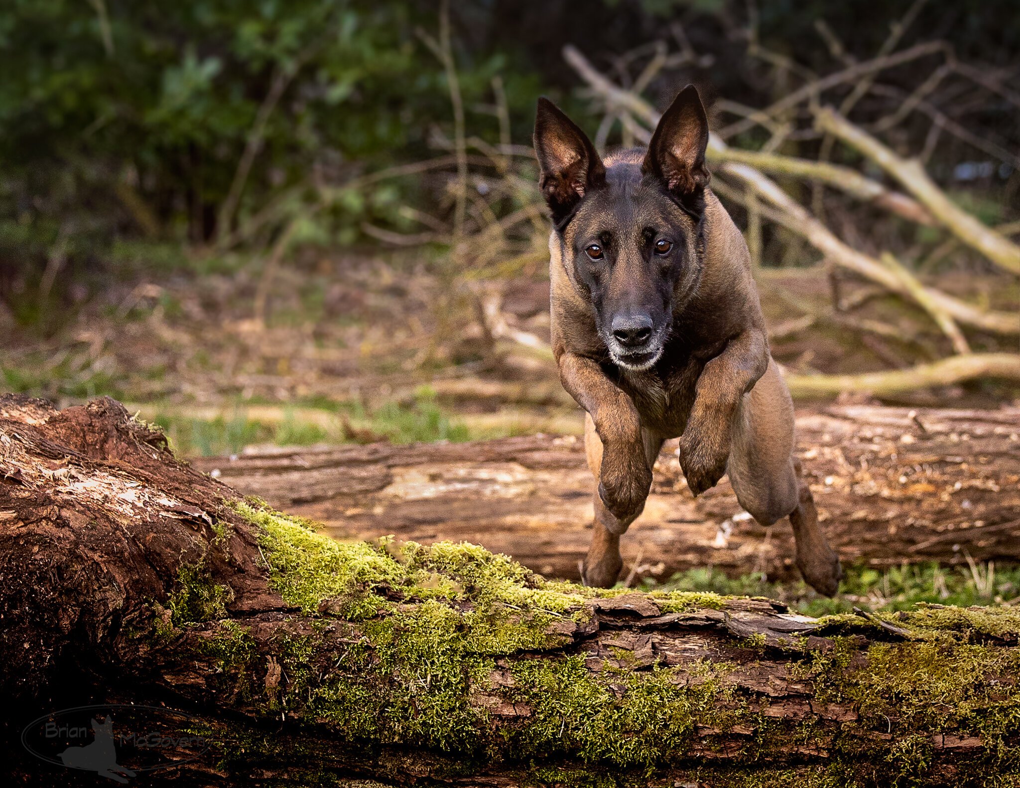 Ali Log.jpg | Canon RF Shooters Forums