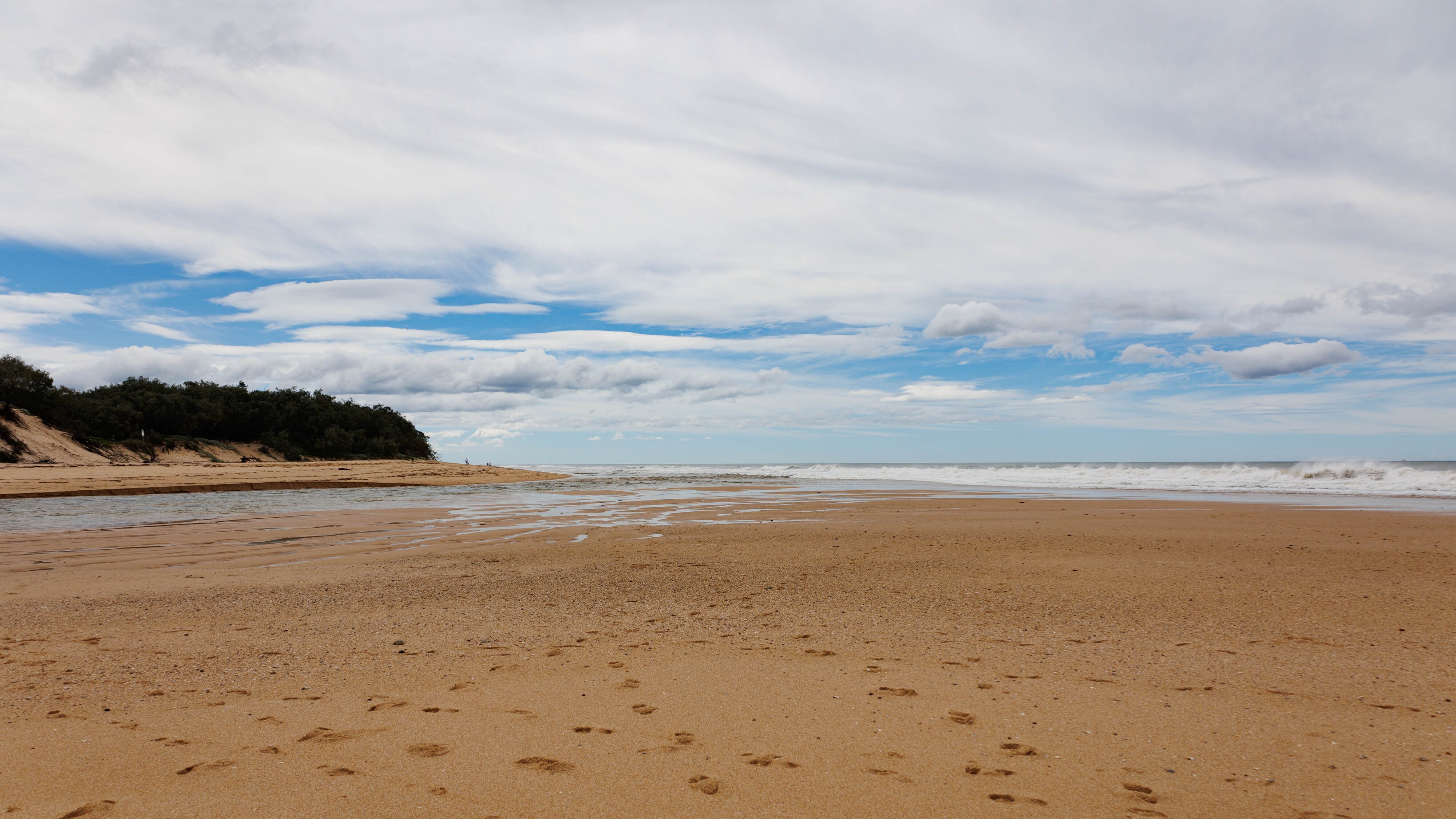 BIG AND BOLD-4.jpg | Canon RF Shooters Forums