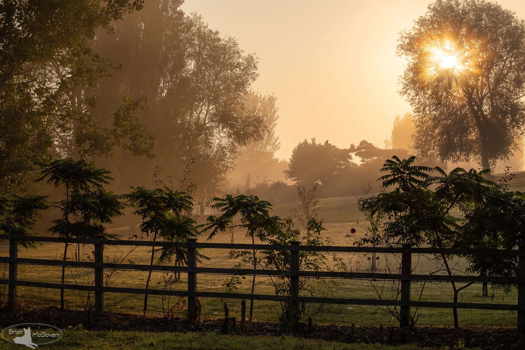Bottom Farm Sunrise.JPG | Canon RF Shooters Forums