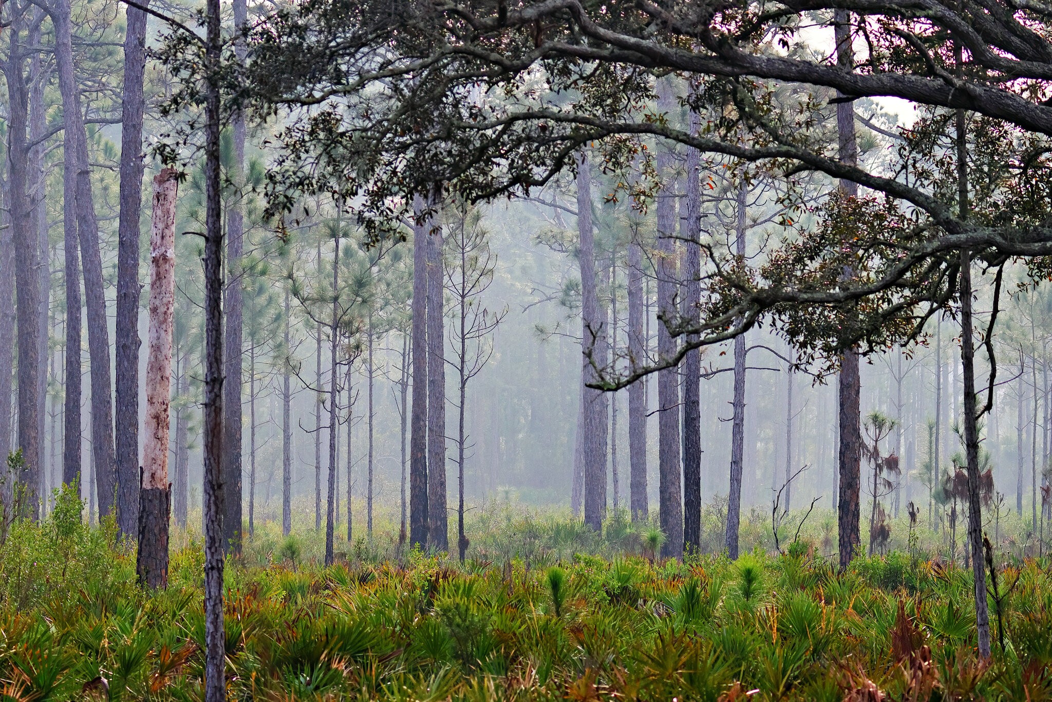 CR7_20230200000342.jpg | Canon RF Shooters Forums