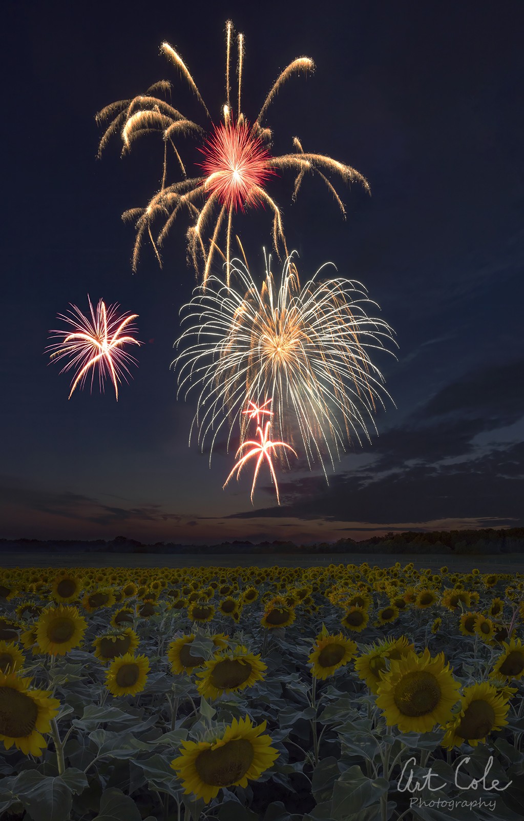 EnhancedFireworkBlendSM.jpg | Canon RF Shooters Forums