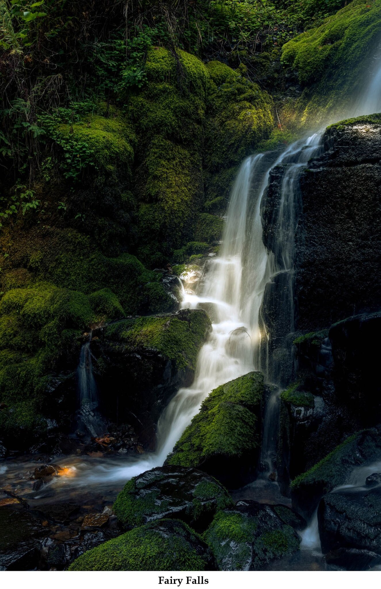 Fairy Falls.jpg | Canon RF Shooters Forums
