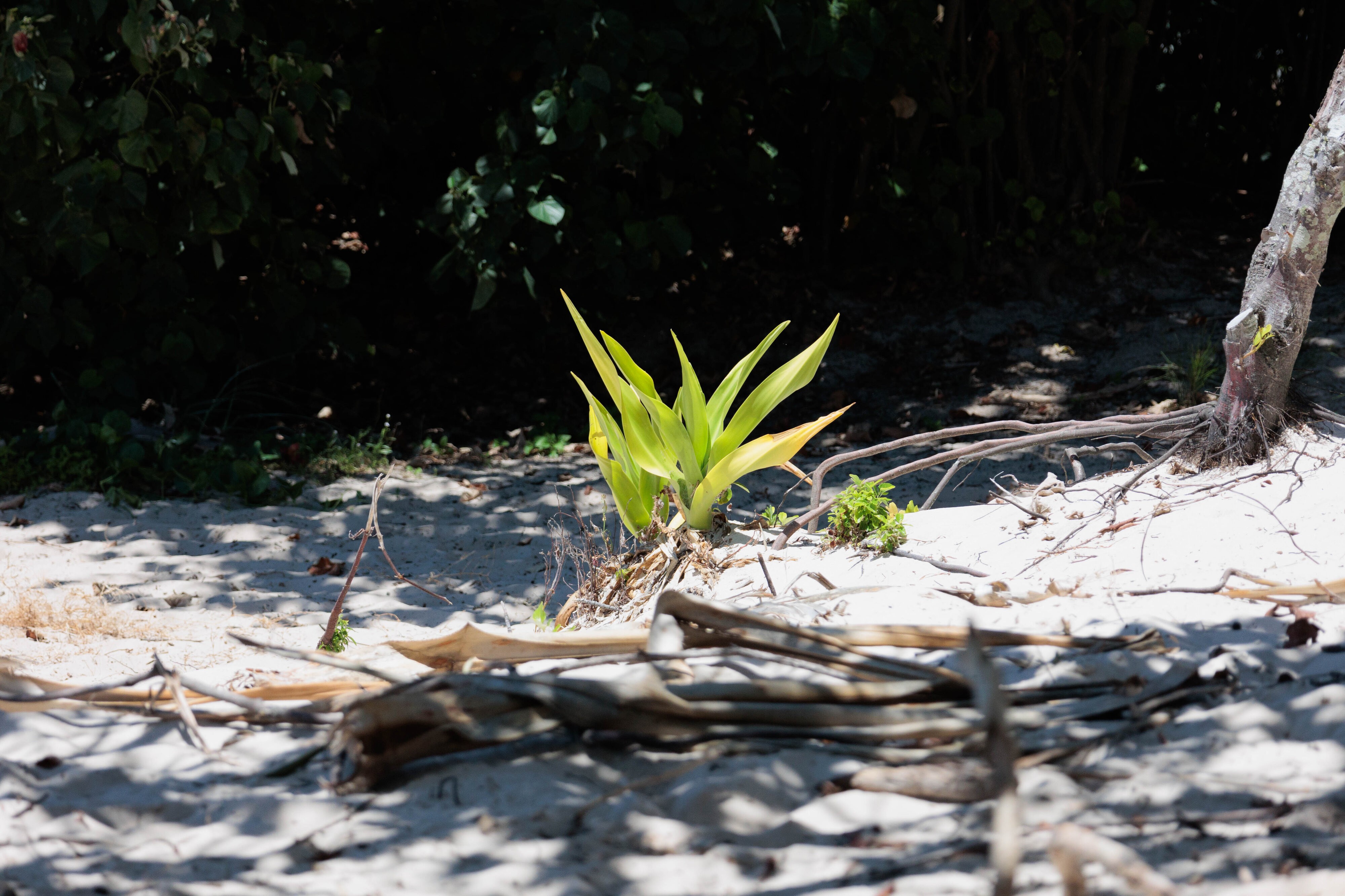 FRASER PARK-2.jpg | Canon RF Shooters Forums