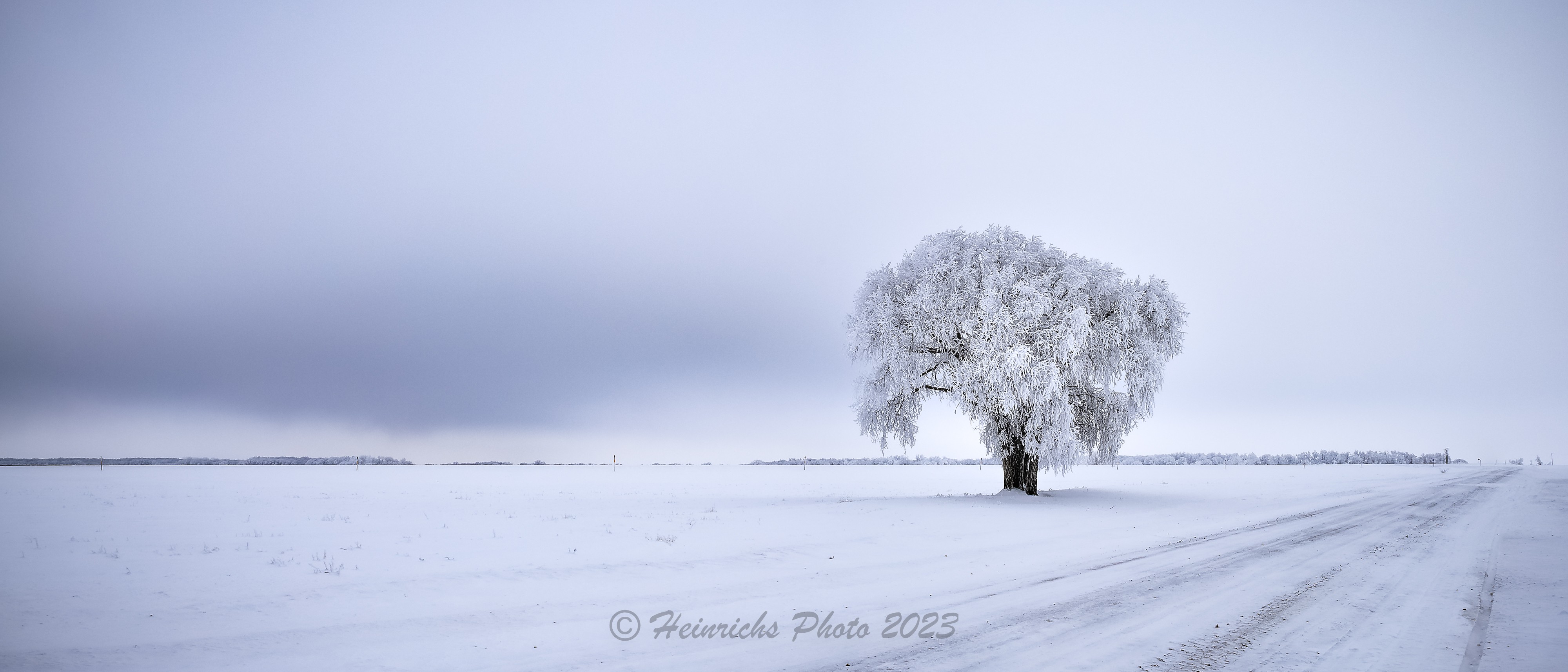Frosty Trees-2302.jpg | Canon RF Shooters Forums