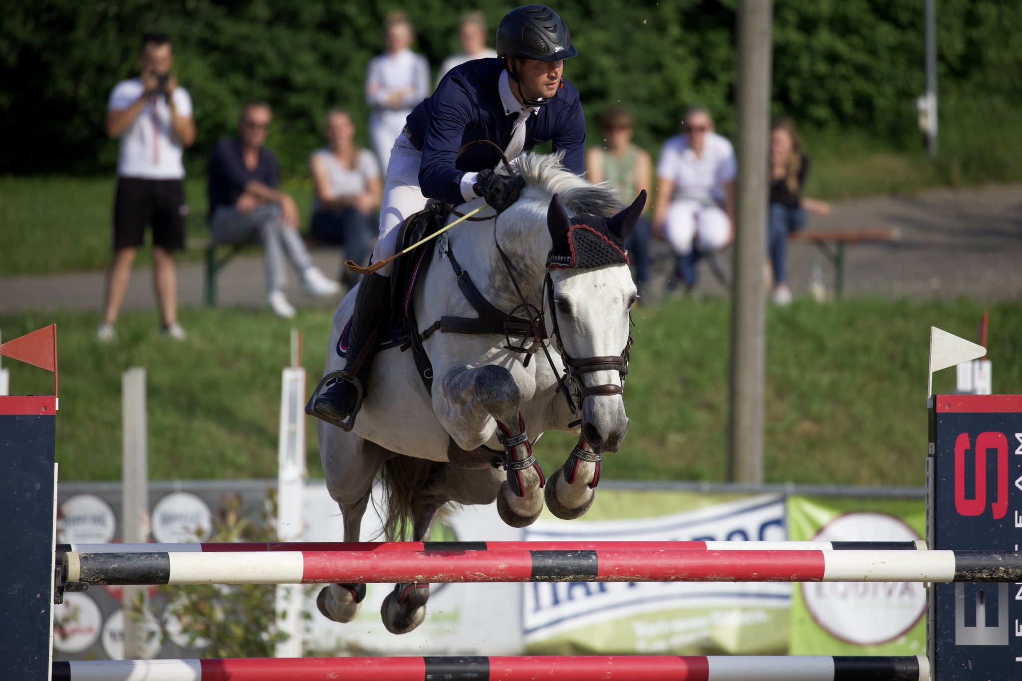 IMG_3365.jpeg | Canon RF Shooters Forums