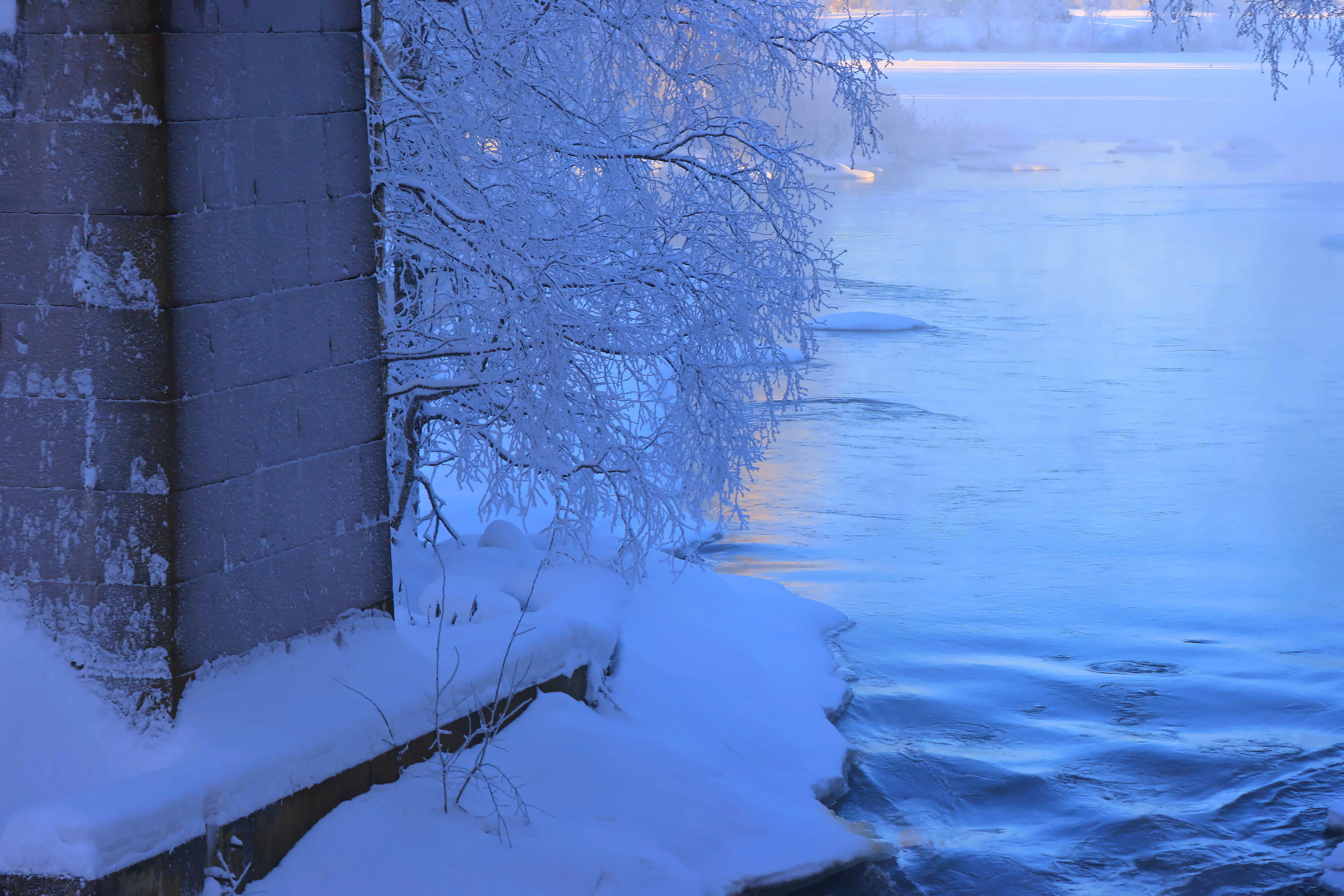 Kylmyys.jpg | Canon RF Shooters Forums