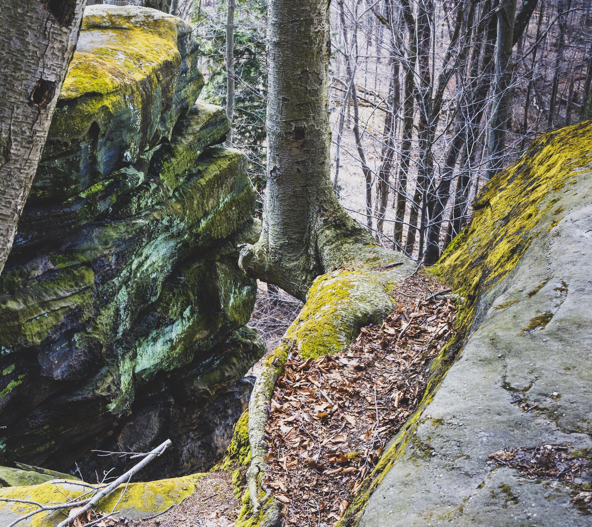 March 06, 2022_Ledges Outlook CVNP_001.jpg | Canon RF Shooters Forums