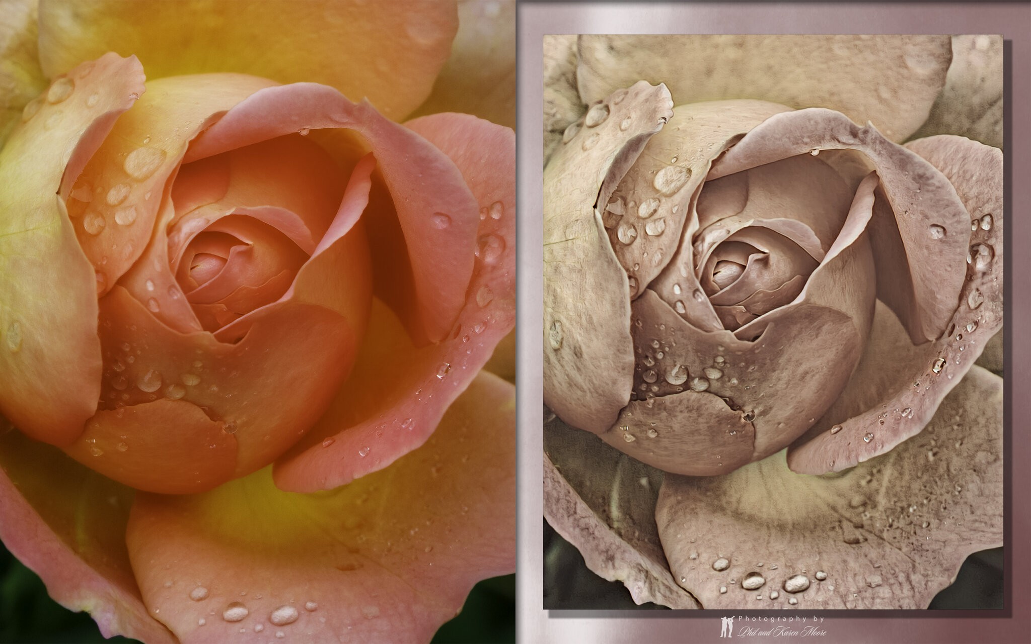 RF-DRE1.jpg | Canon RF Shooters Forums