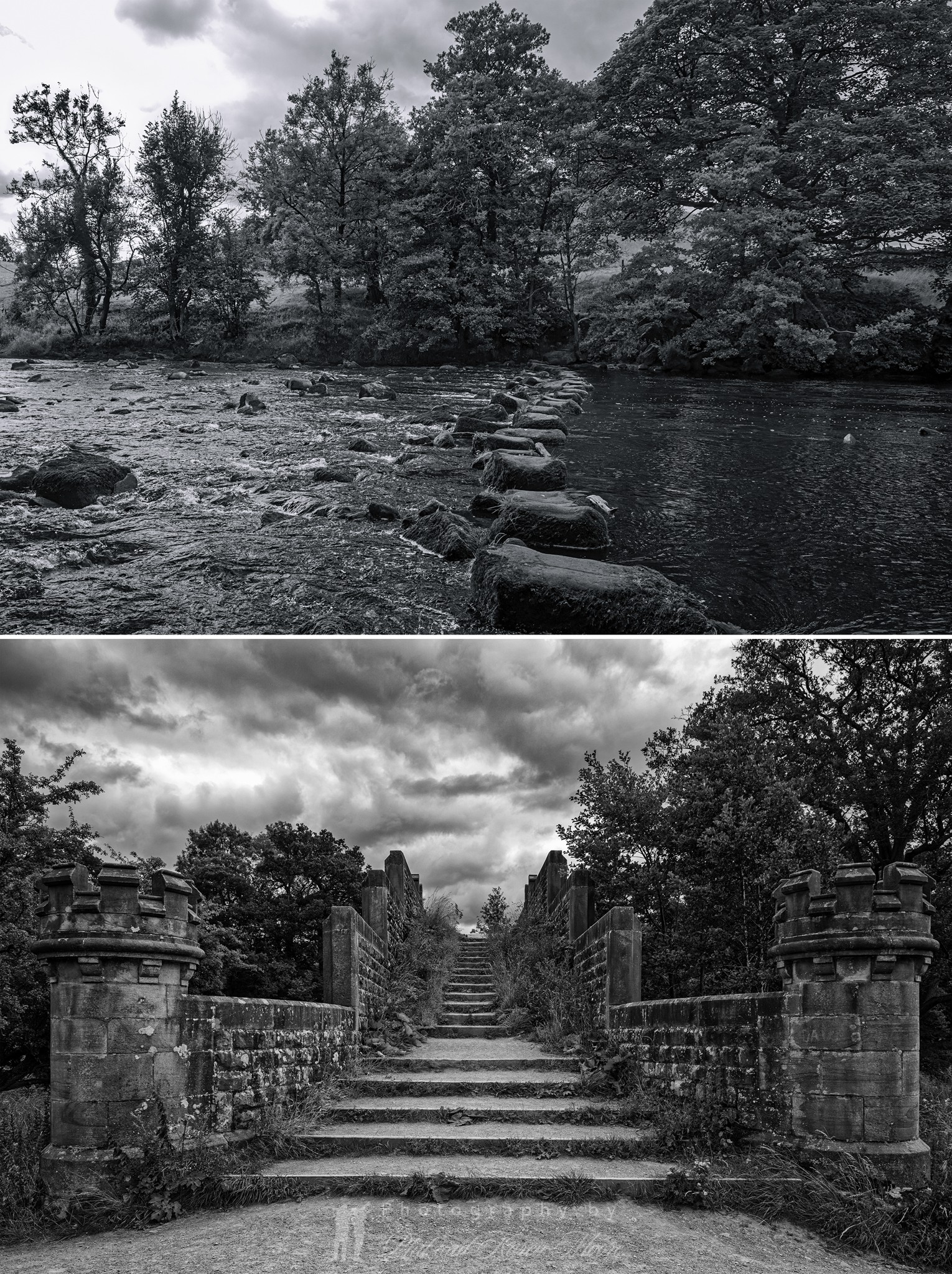 RF-S-BA-4.jpg | Canon RF Shooters Forums