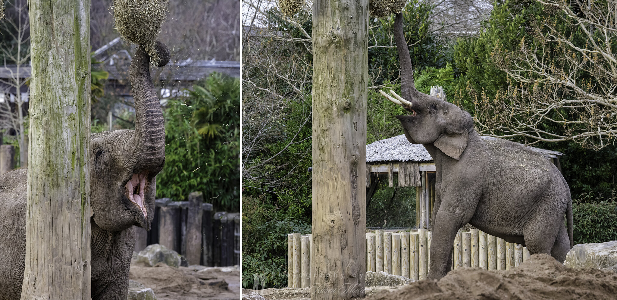 RF-S-CZ-12.jpg | Canon RF Shooters Forums