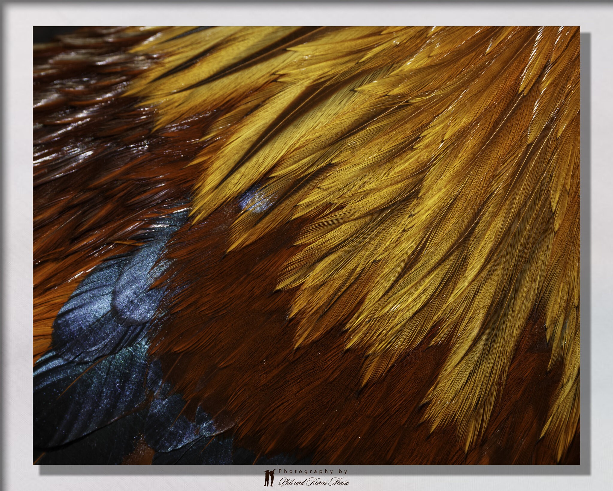 RF-S-CZ6.jpg | Canon RF Shooters Forums