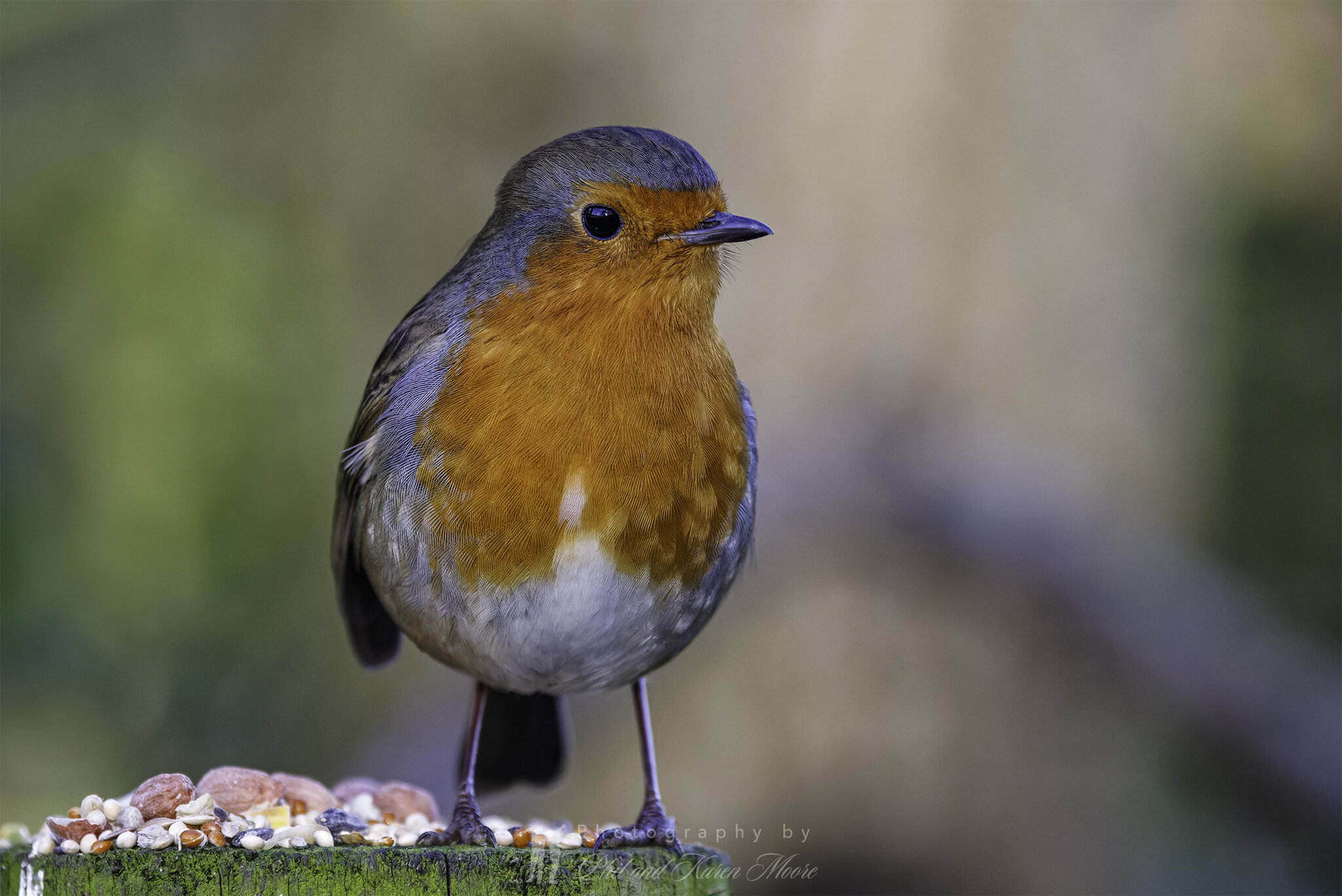 RF-S-WB6.jpg | Canon RF Shooters Forums