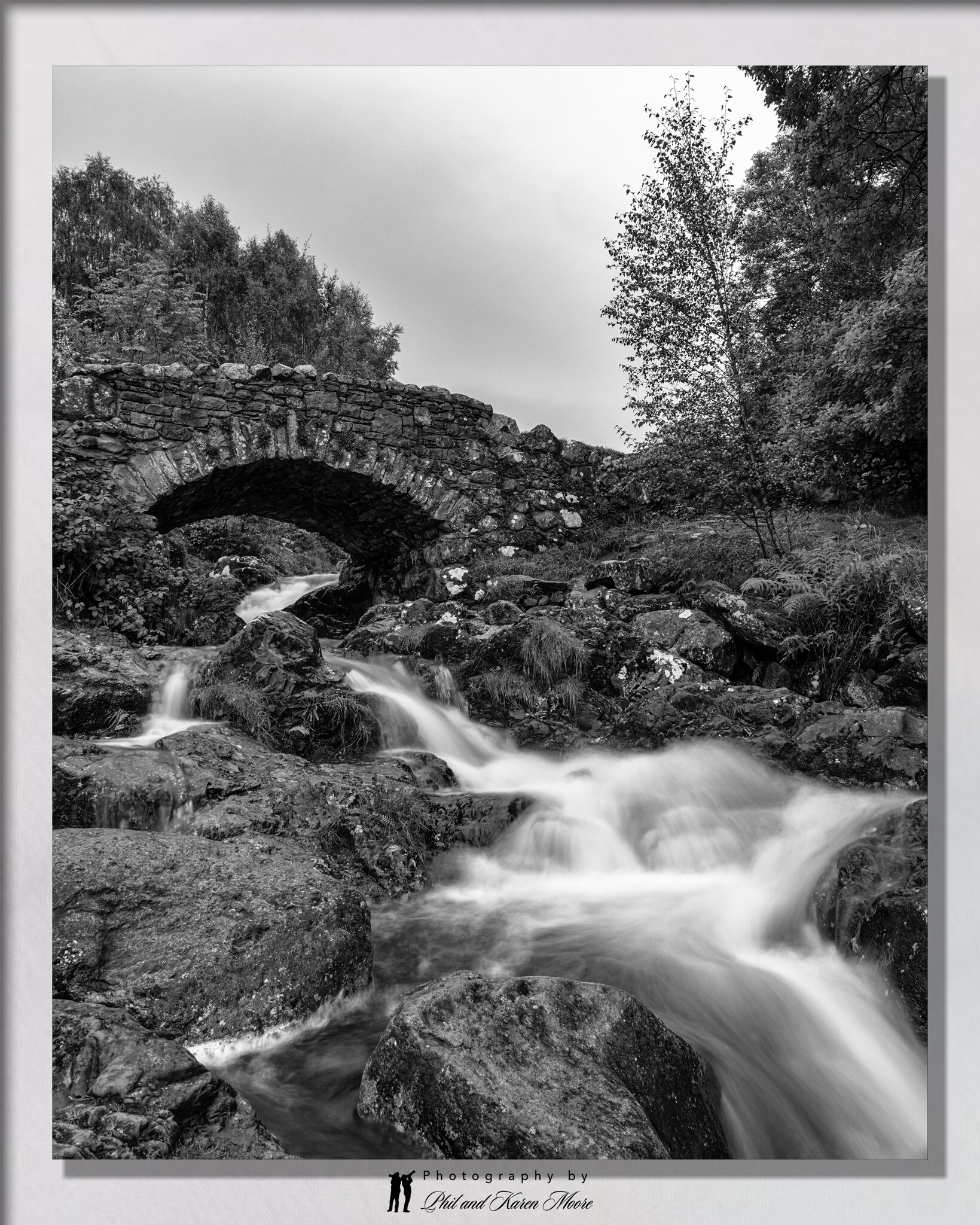 RF-SO-4.jpg | Canon RF Shooters Forums