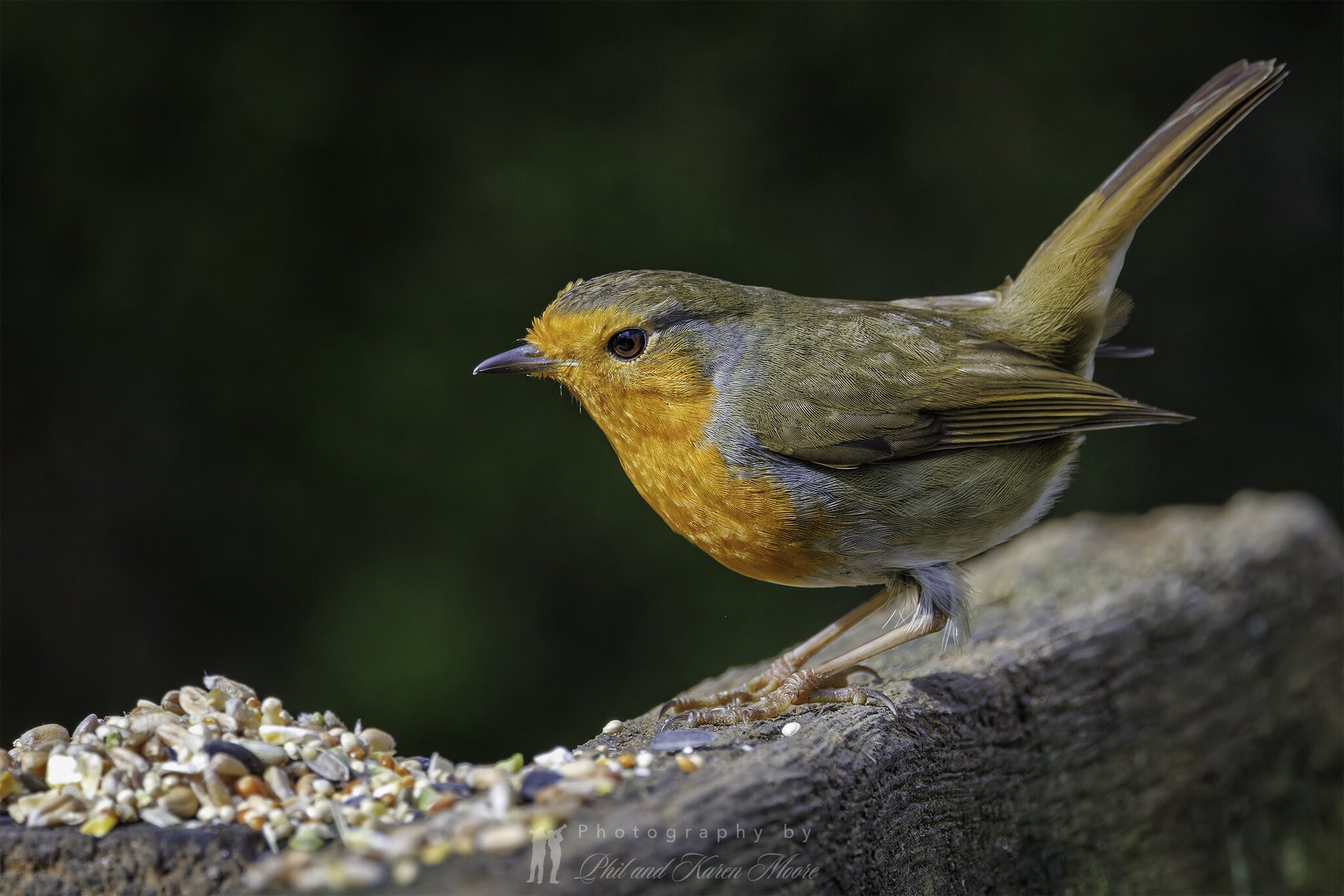 RF-SR7-4.jpg | Canon RF Shooters Forums