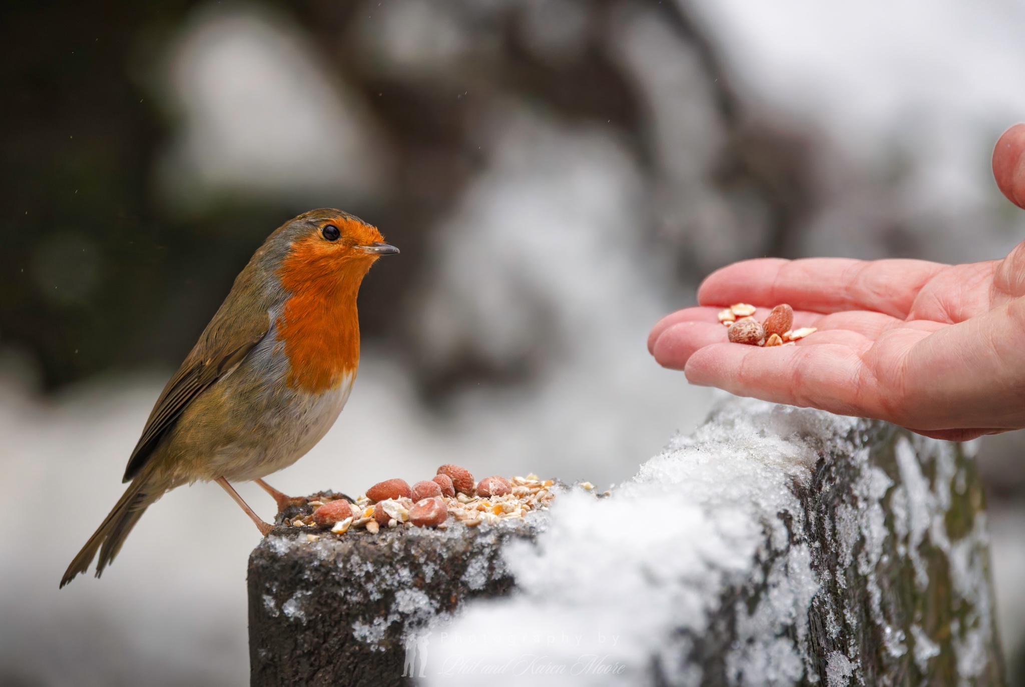 RF-SSW-02.jpg | Canon RF Shooters Forums