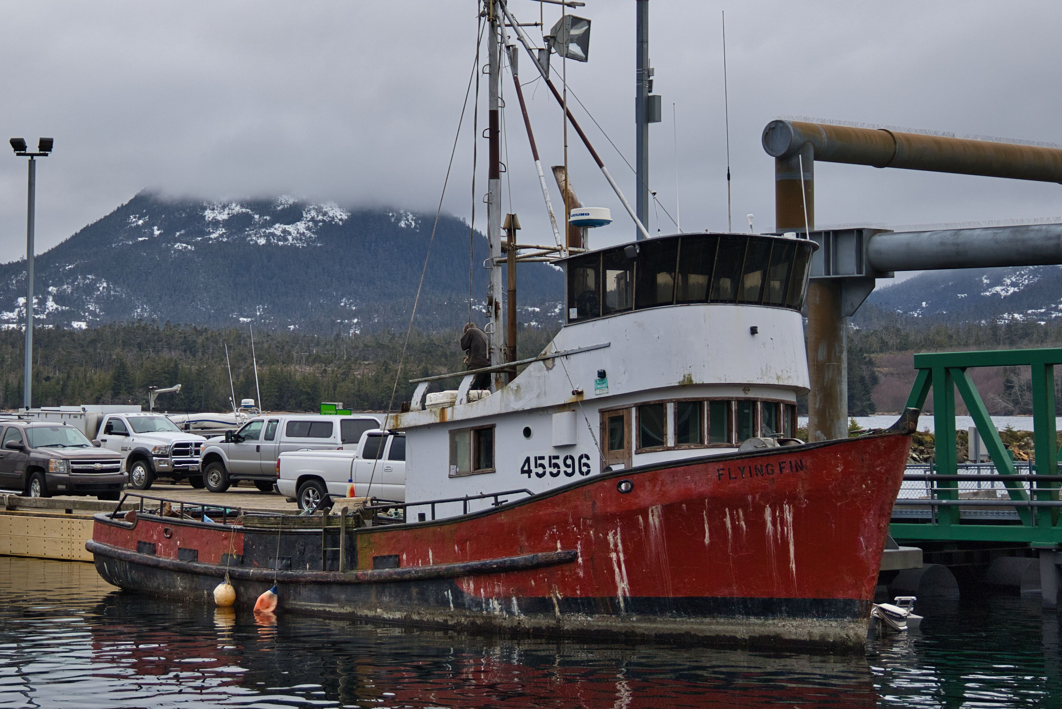 The Flying Fin | Canon RF Shooters Forums