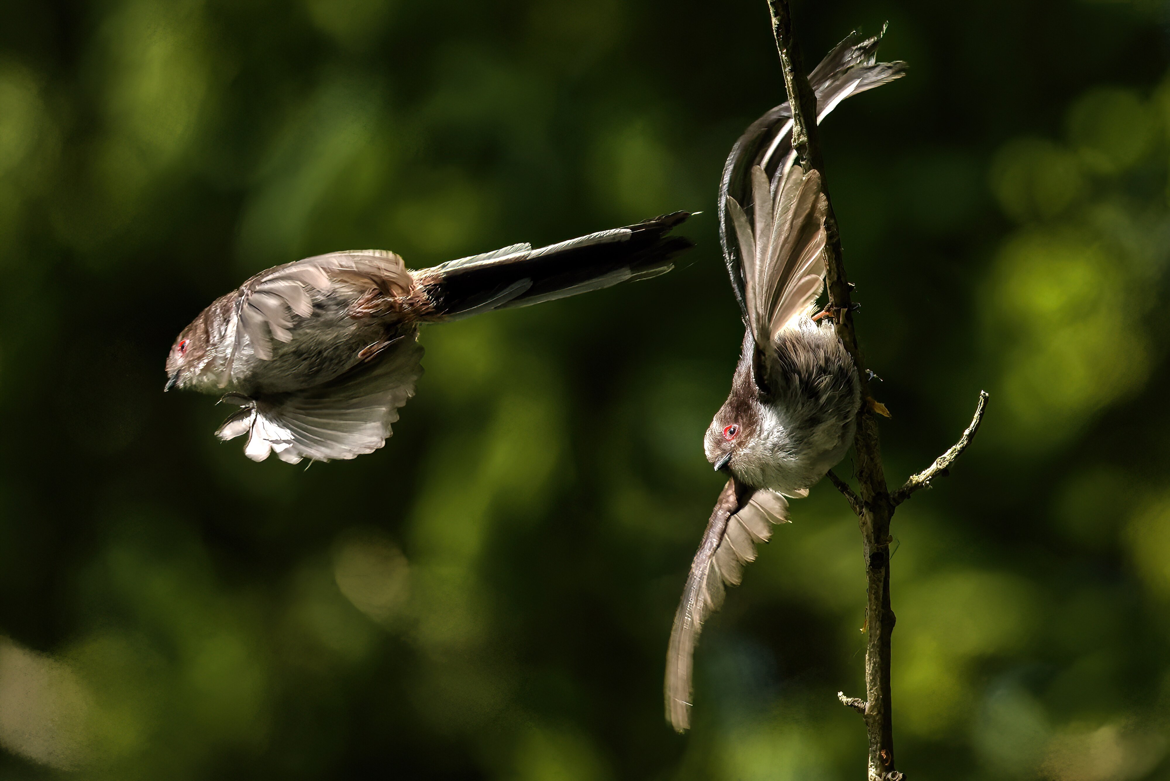 version=1&uuid=3980E67E-4BE1-4428-916E-1C1236515EC2&mode=compatible ...