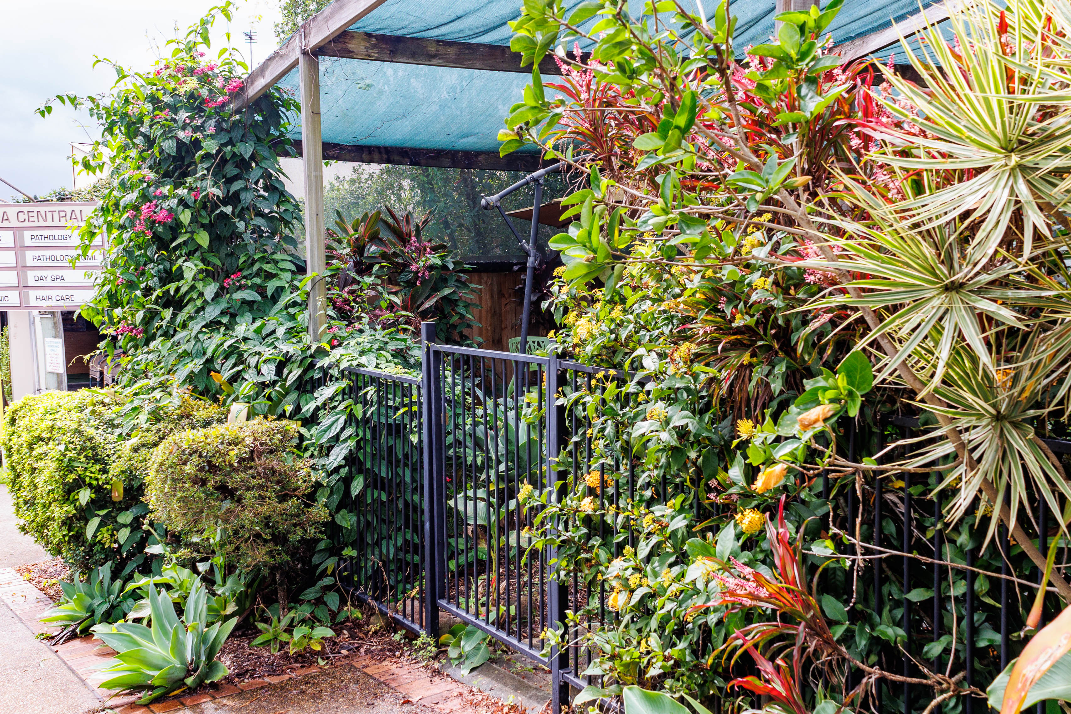 YANDINA-12.jpg | Canon RF Shooters Forums