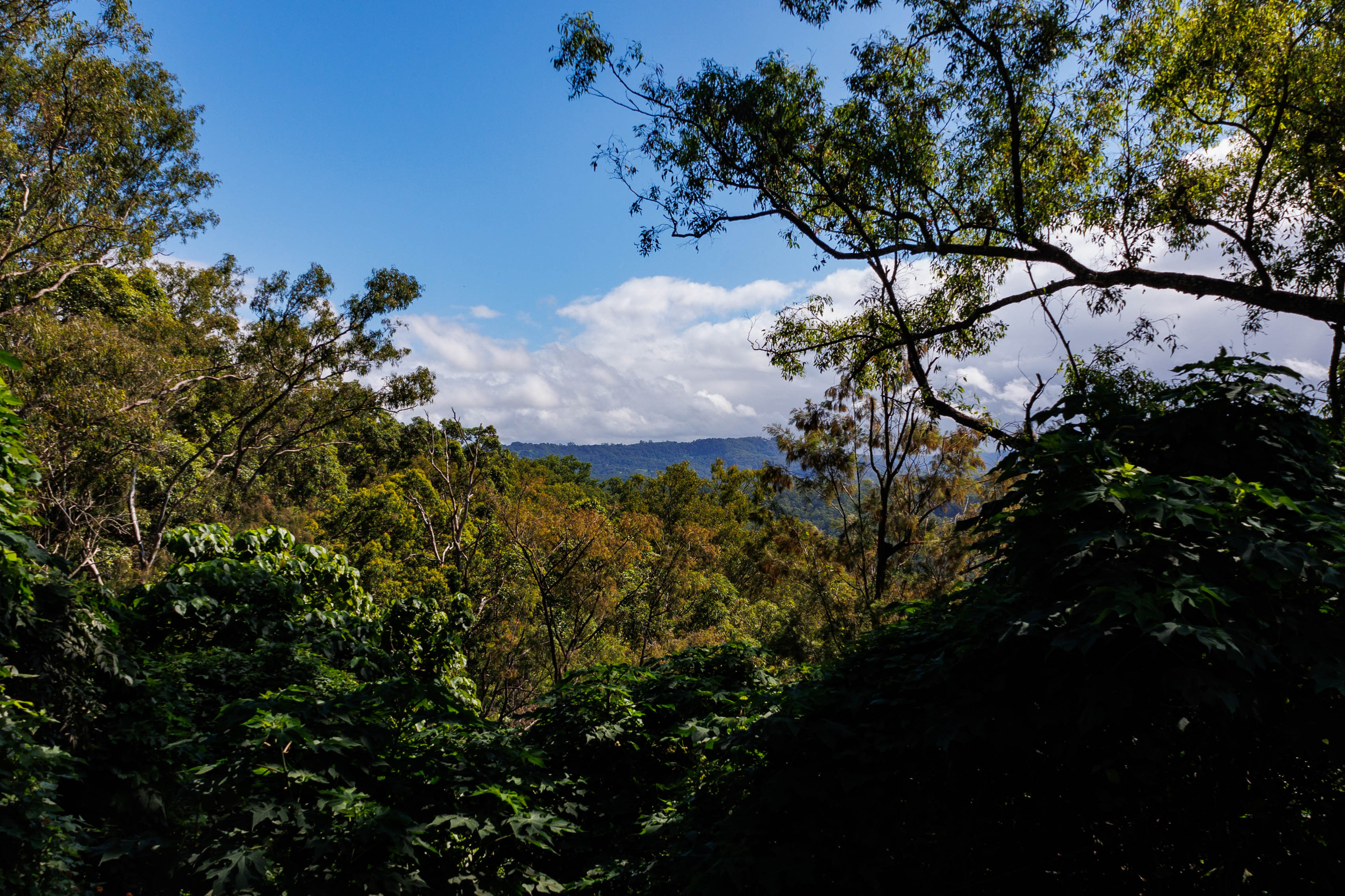 YANDINA-2.jpg | Canon RF Shooters Forums