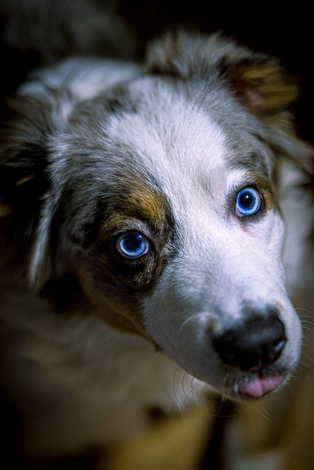 Zero rework n cropped in tight (1 of 1).jpg | Canon RF Shooters Forums